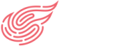 NetEase Gamer